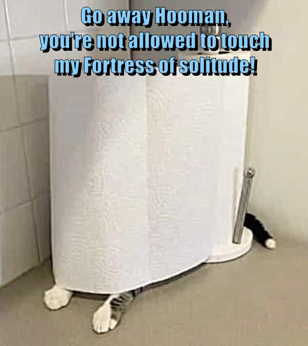 Go away - Lolcats - lol | cat memes | funny cats | funny cat pictures ...