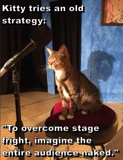 Kitty tries an old strategy - Lolcats - lol | cat memes | funny cats ...