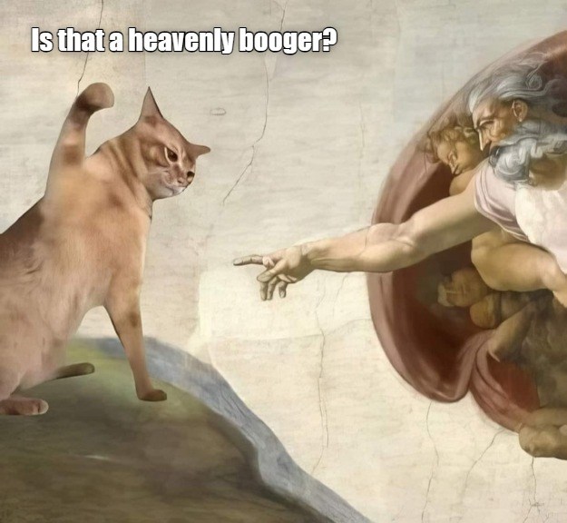 Eww... get it away from me - Lolcats - lol | cat memes | funny cats ...