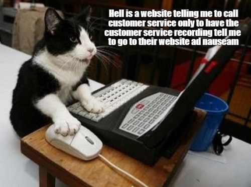 So nauseating - Lolcats - lol | cat memes | funny cats | funny cat ...