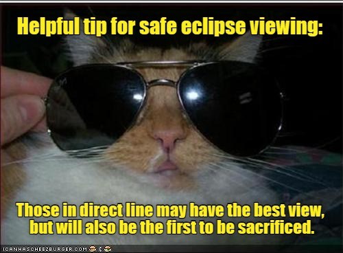Stay safe out there - Lolcats - lol | cat memes | funny cats | funny ...