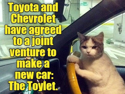 The test trials have been crappy - Lolcats - lol | cat memes | funny ...