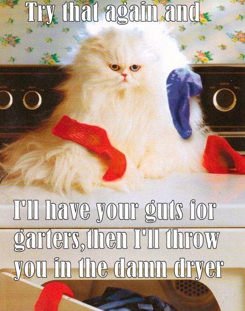 Try that again - Lolcats - lol | cat memes | funny cats | funny cat ...