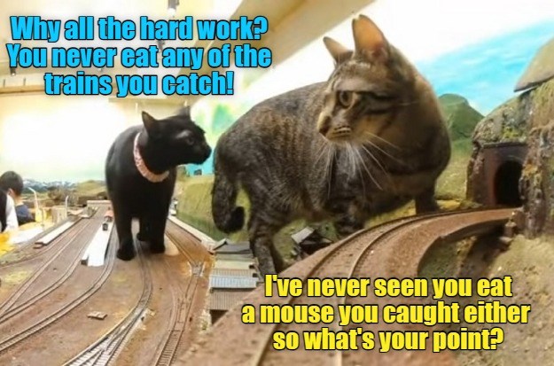 The thrill is in the hunt - Lolcats - lol | cat memes | funny cats ...