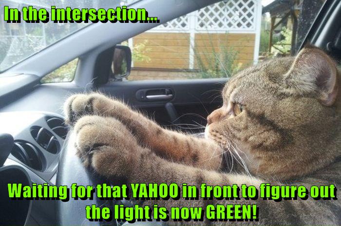 Go already! - Lolcats - lol | cat memes | funny cats | funny cat ...