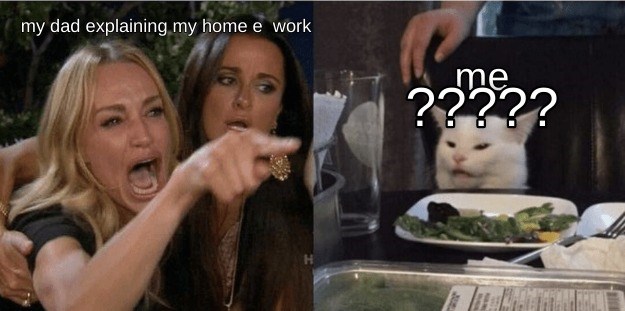 Homework - Lolcats - lol | cat memes | funny cats | funny cat pictures ...