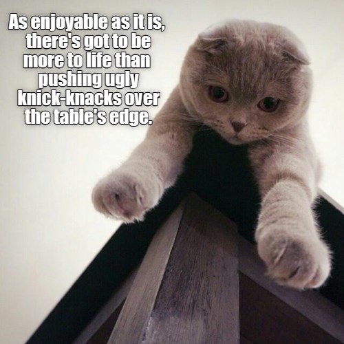 Existential crisis - Lolcats - lol | cat memes | funny cats | funny cat pictures with words on ...