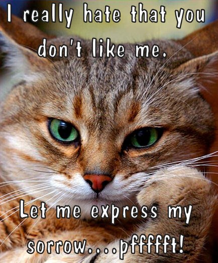 Add another pf-f-f-t - Lolcats - lol | cat memes | funny cats | funny ...