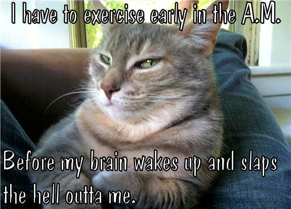 At least it works - Lolcats - lol | cat memes | funny cats | funny cat ...