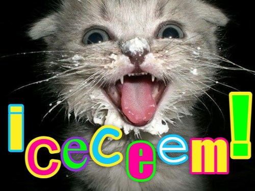 Delish - Lolcats - lol | cat memes | funny cats | funny cat pictures ...