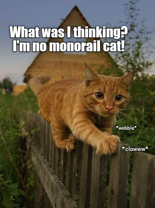 Monorail cat - Lolcats - lol | cat memes | funny cats | funny cat ...