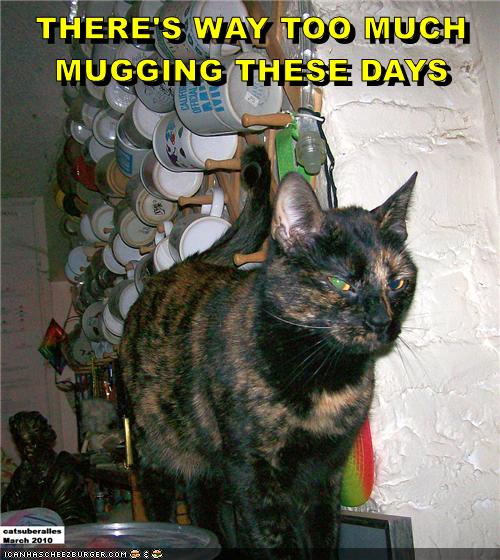 Mugging - Lolcats - lol | cat memes | funny cats | funny cat pictures ...