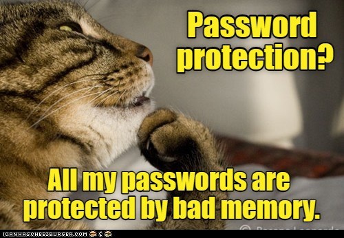Password protection - Lolcats - lol | cat memes | funny cats | funny ...