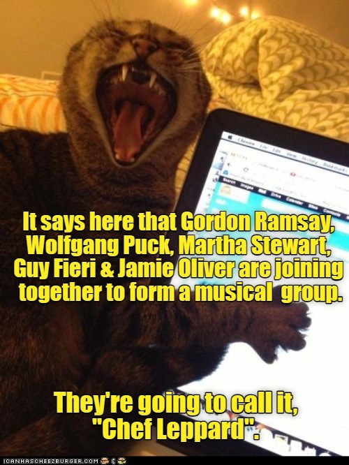 Chef Leppard - Lolcats - lol | cat memes | funny cats | funny cat ...