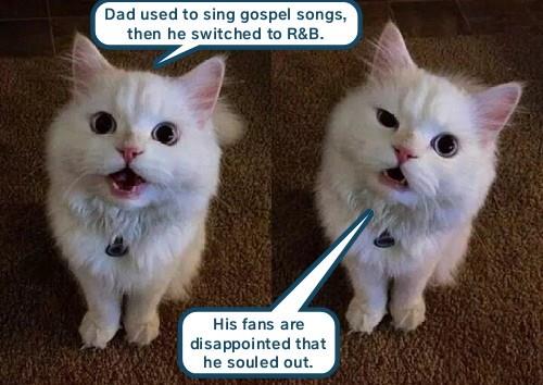 Sour note - Lolcats - lol | cat memes | funny cats | funny cat pictures ...