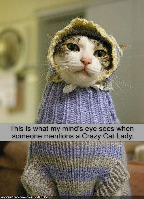 A very proper lady - Lolcats - lol | cat memes | funny cats | funny cat ...