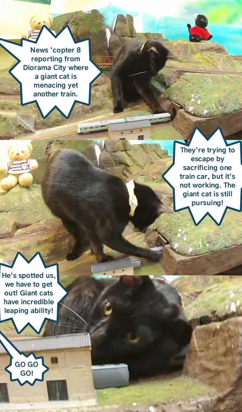 Intrepid reporting - Lolcats - lol | cat memes | funny cats | funny cat ...