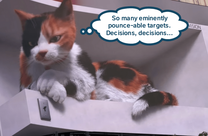 Look out below - Lolcats - lol | cat memes | funny cats | funny cat ...