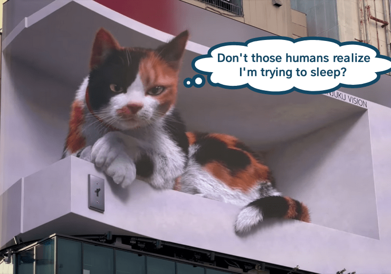 So inconsiderate - Lolcats - lol | cat memes | funny cats | funny cat ...