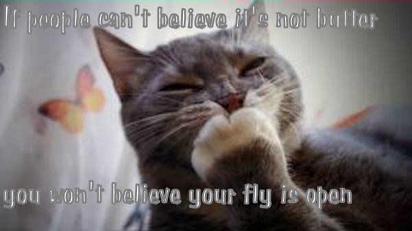 So I'm not telling - Lolcats - lol | cat memes | funny cats | funny cat ...