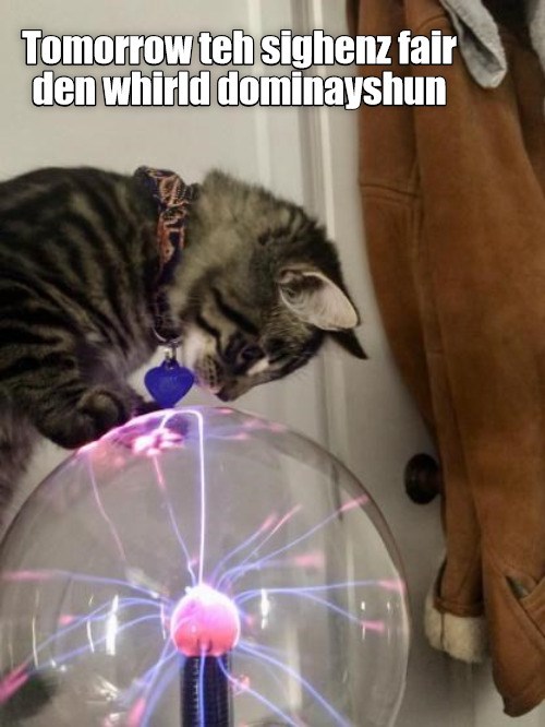 Kitten dreams - Lolcats - lol | cat memes | funny cats | funny cat ...