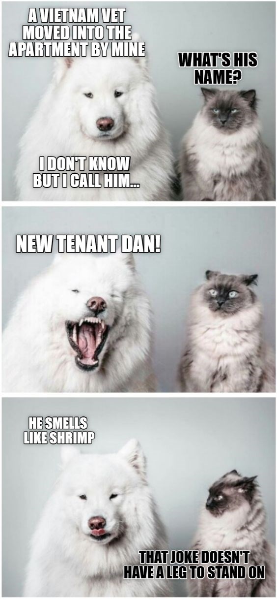 New Tenant Dan - Lolcats - lol | cat memes | funny cats | funny cat ...