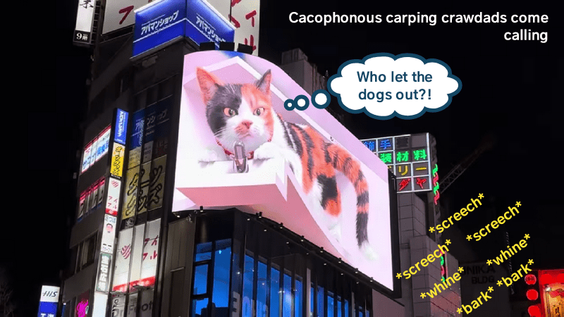 Rude interruption - Lolcats - lol | cat memes | funny cats | funny cat ...