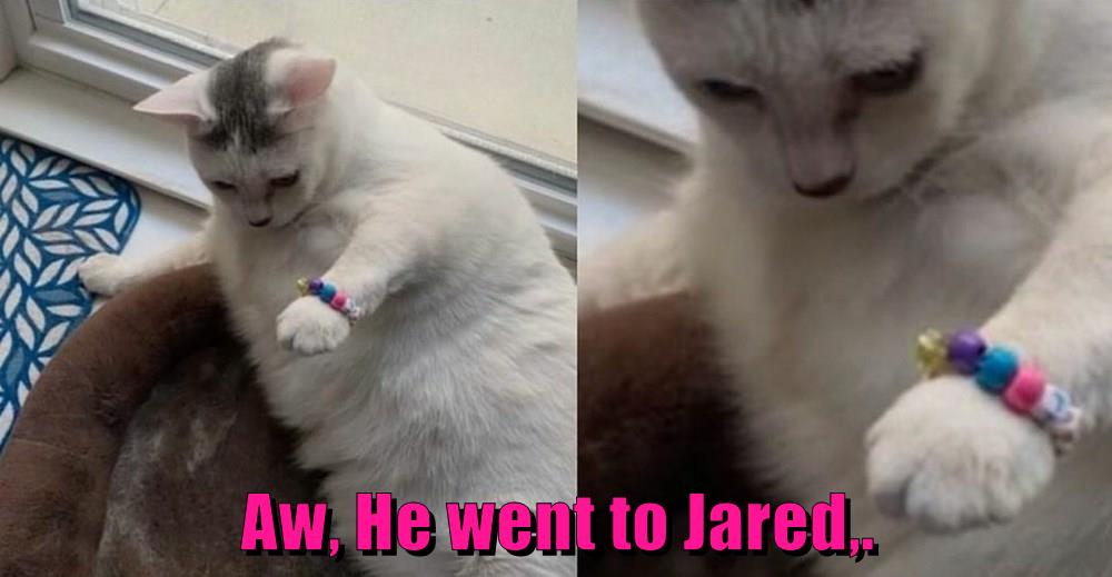 Aw - Lolcats - lol | cat memes | funny cats | funny cat pictures with ...