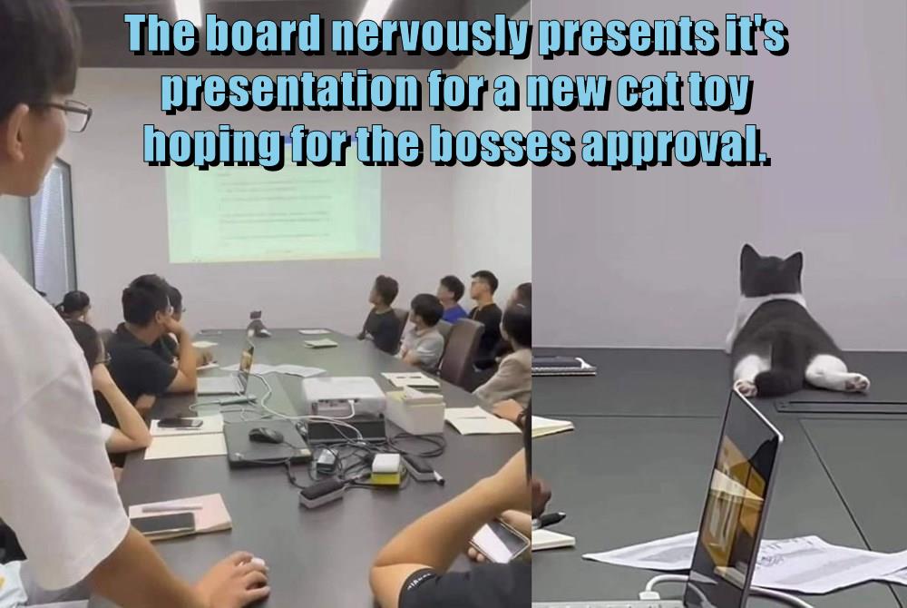 It's def gonna be a success - Lolcats - lol | cat memes | funny cats ...