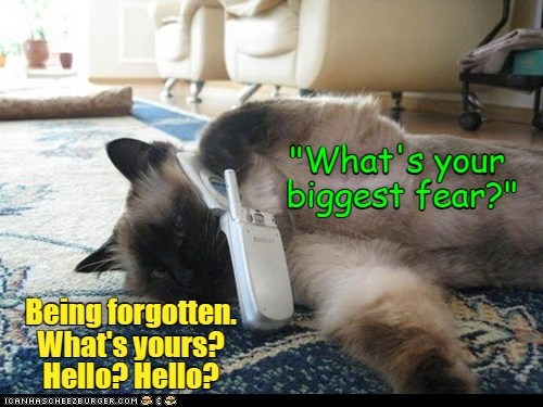 Fear level accomplished. - Lolcats - lol | cat memes | funny cats ...