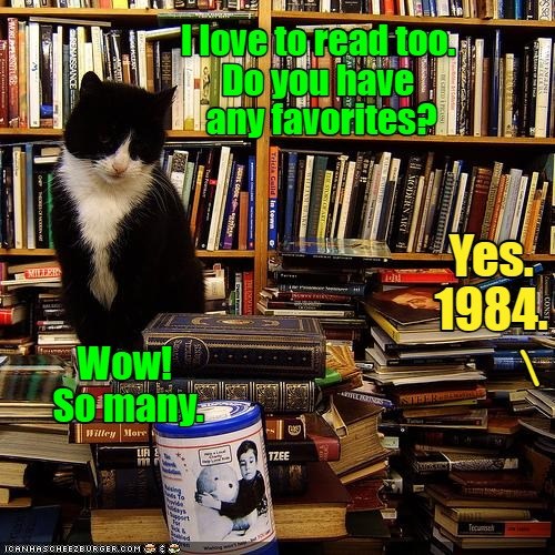 Wait, what? - Lolcats - lol | cat memes | funny cats | funny cat ...