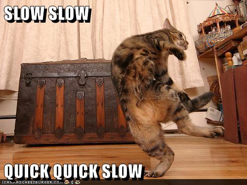Quick quick slow - Lolcats - lol | cat memes | funny cats | funny cat ...
