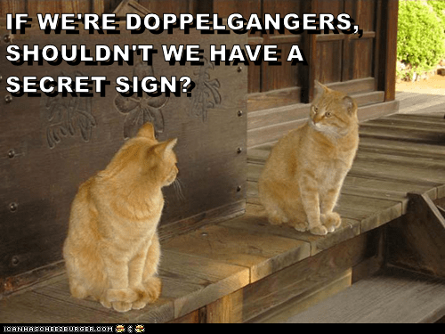 Hmm - Lolcats - lol | cat memes | funny cats | funny cat pictures with ...