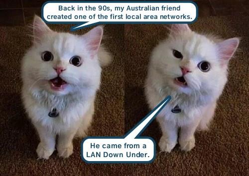 Where servers glow and drives chunder - Lolcats - lol | cat memes ...