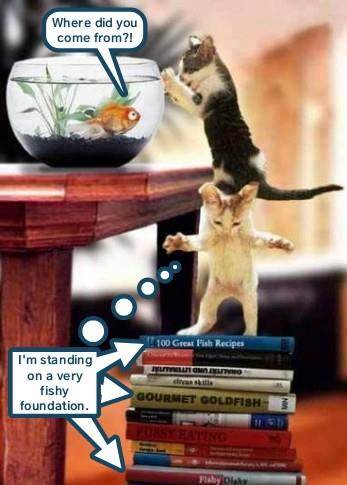 Fish caper - Lolcats - lol | cat memes | funny cats | funny cat ...