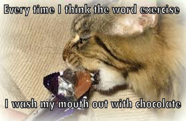 oh yeah, bummer and all that - Lolcats - lol | cat memes | funny cats ...