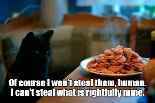 Rightfully mine - I Can Has Cheezburger?