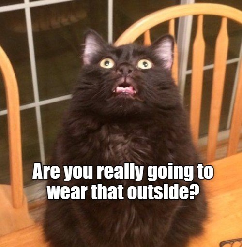 Ew - Lolcats - lol | cat memes | funny cats | funny cat pictures with ...