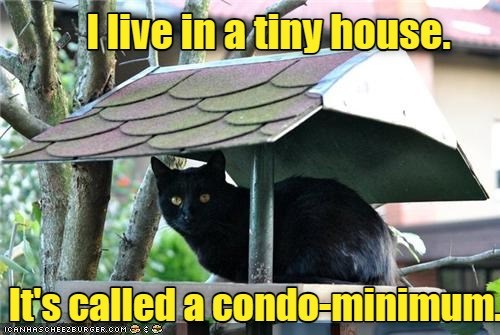 Tiny house - Lolcats - lol | cat memes | funny cats | funny cat ...