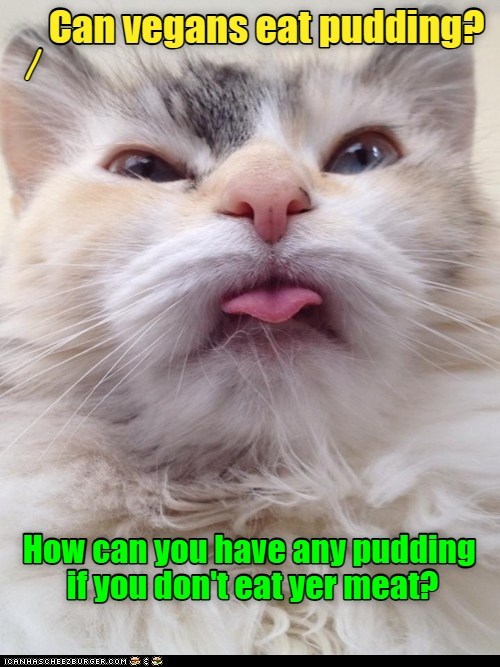 Logic - Lolcats - lol | cat memes | funny cats | funny cat pictures ...