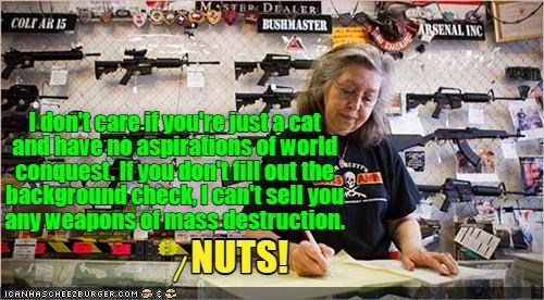 Curses, foiled again - Lolcats - lol | cat memes | funny cats | funny ...