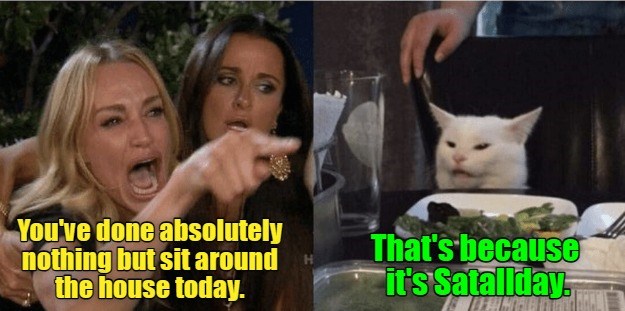 Weekends - Lolcats - lol | cat memes | funny cats | funny cat pictures ...