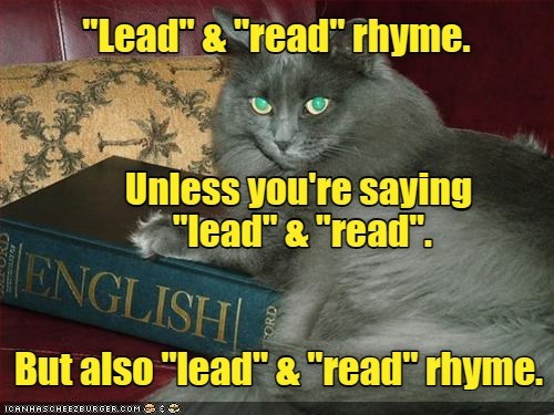 English is a confusing language - Lolcats - lol | cat memes | funny ...