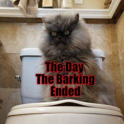 Finally - Lolcats - lol | cat memes | funny cats | funny cat pictures ...