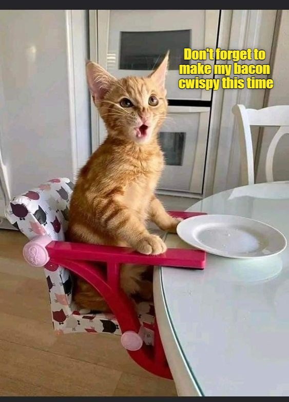 Cwispy bacon - I Can Has Cheezburger?