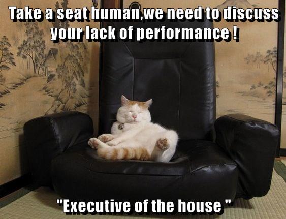 Performance review - Lolcats - lol | cat memes | funny cats | funny cat ...