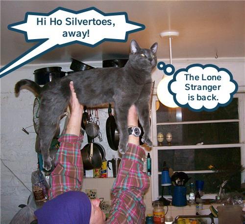 Salute to Silvertoes - Lolcats - lol | cat memes | funny cats | funny ...