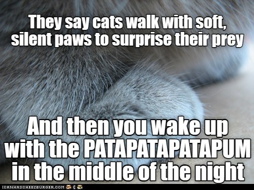 PATPATPATPAPT - Lolcats - lol | cat memes | funny cats | funny cat ...