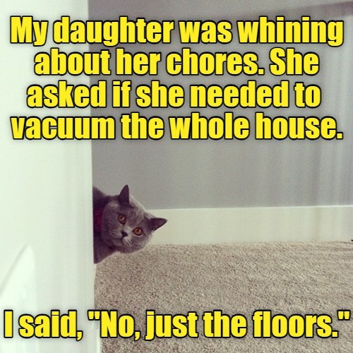 Dad strikes again - Lolcats - lol | cat memes | funny cats | funny cat ...