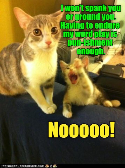 Cruel & unusual funishment - Lolcats - lol | cat memes | funny cats ...